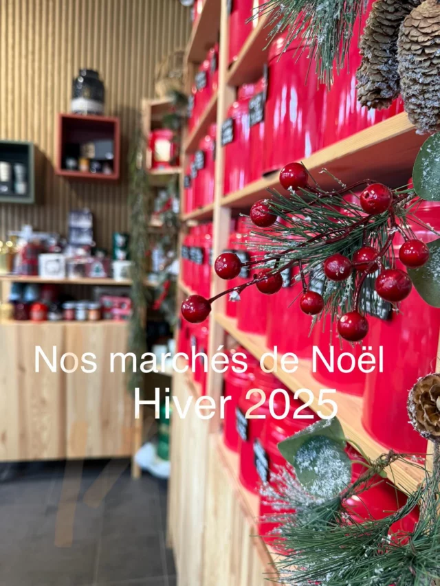 Cordon Rouge & Septembre Cupcakes – Boutique de thés et cupcakes